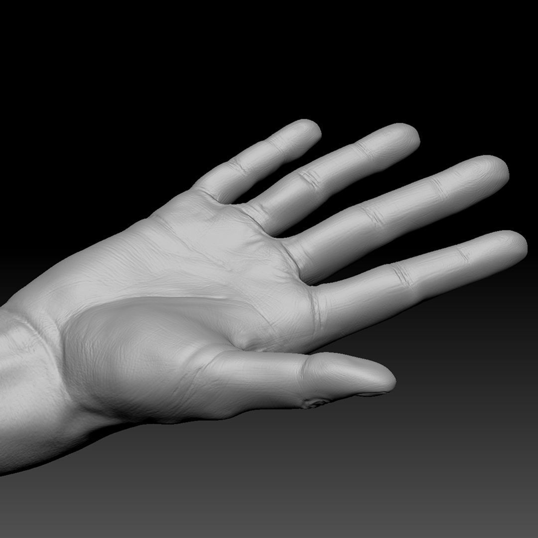 Woman - Perfect Female Body - Very High Detail Sculpt 3D model | CGTrader