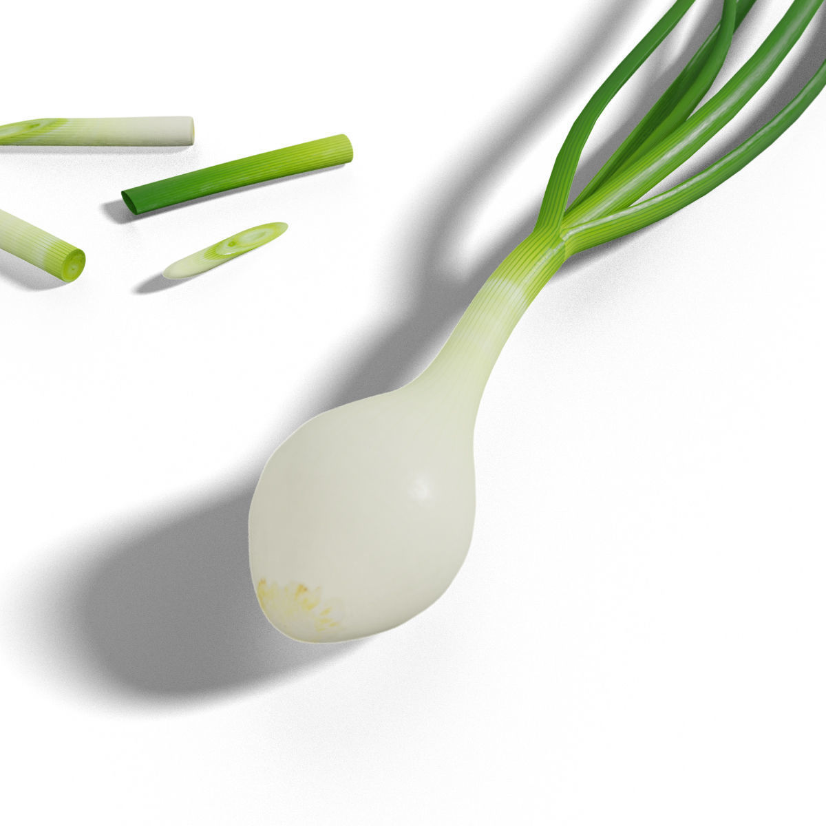 3D model Green Onion Low Poly photorealistic scene VR / AR / low-poly ...
