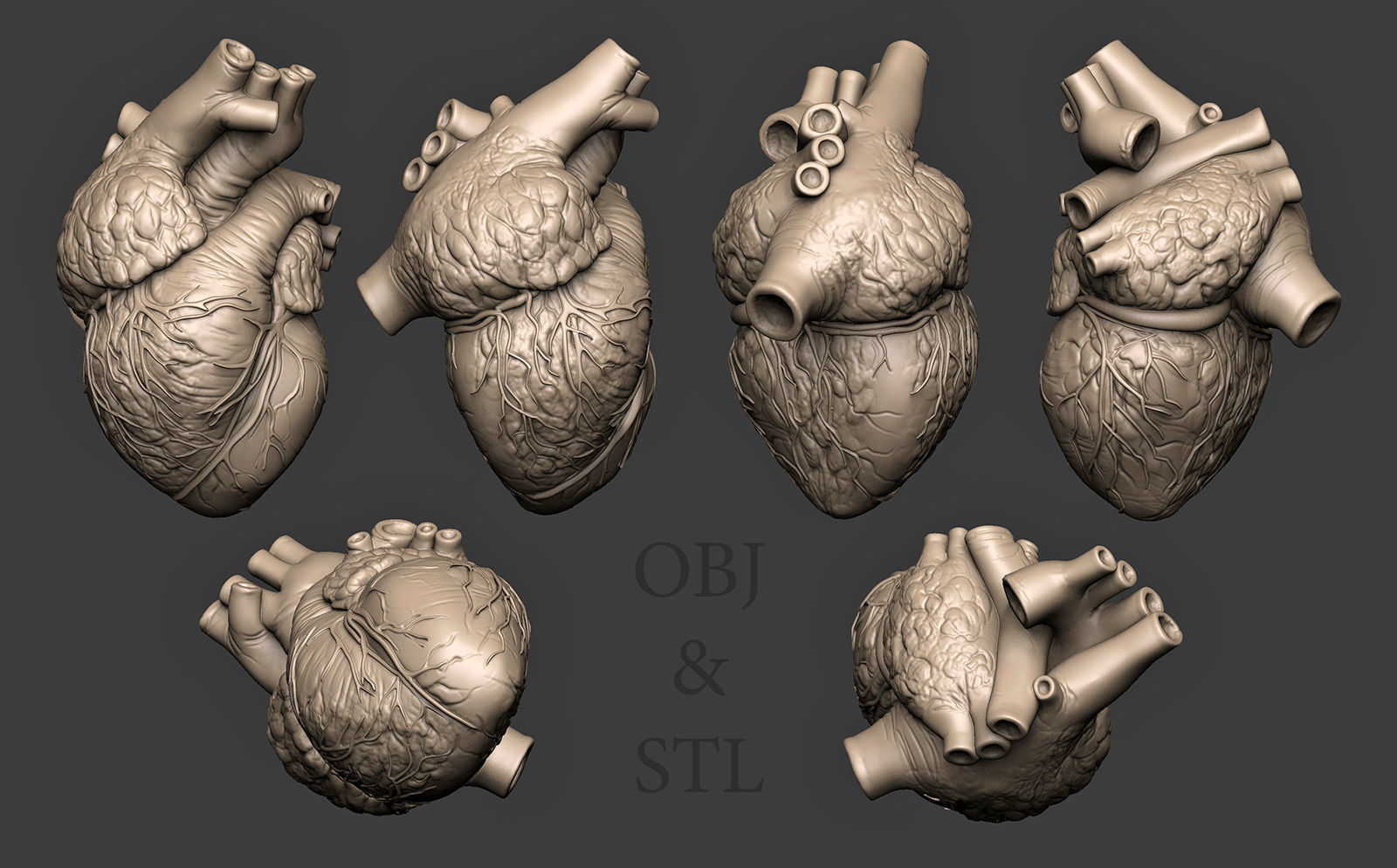 Humans Heart 3D model 3D printable | CGTrader