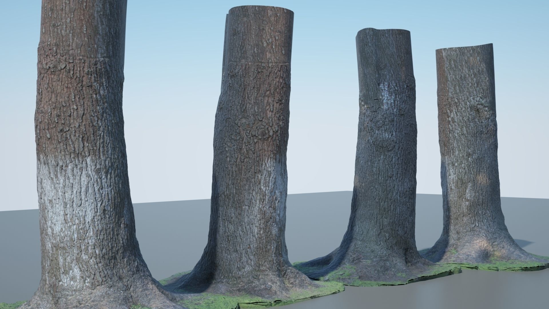 Tree Trunk - 04 3D model | CGTrader