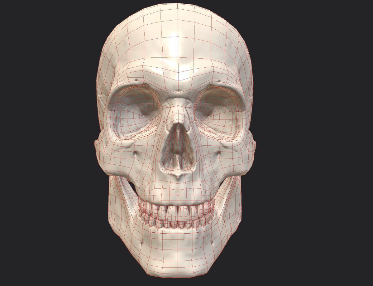 3D model Human Skull Low-poly 3D model VR / AR / low-poly | CGTrader