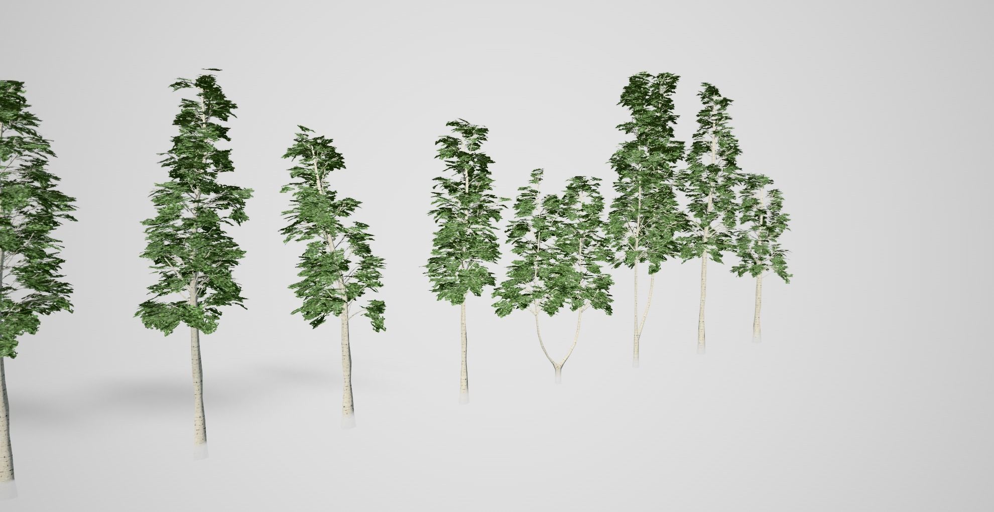 3D model Aspen Trees Pack VR / AR / low-poly | CGTrader