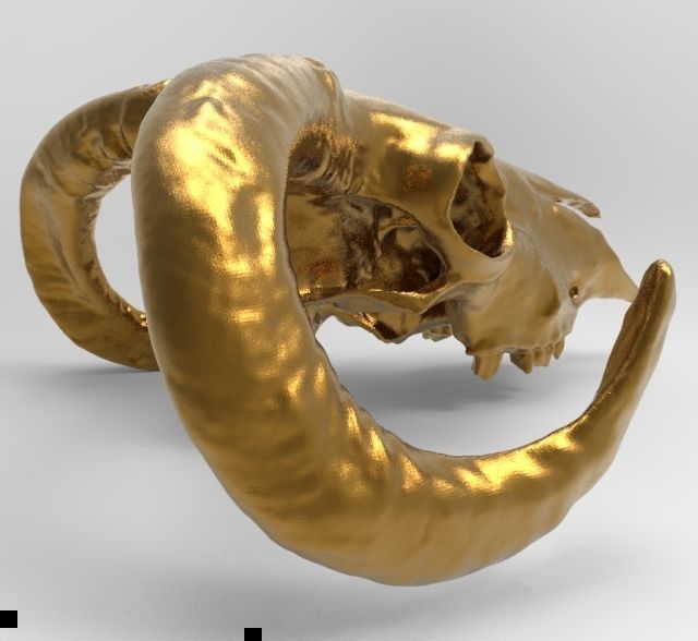 ram skull for 3D print 3D model 3D printable | CGTrader