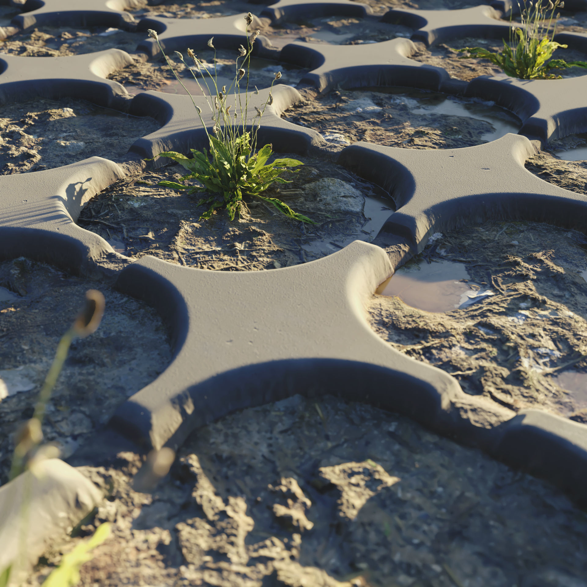 After rain mud ground Texture | CGTrader