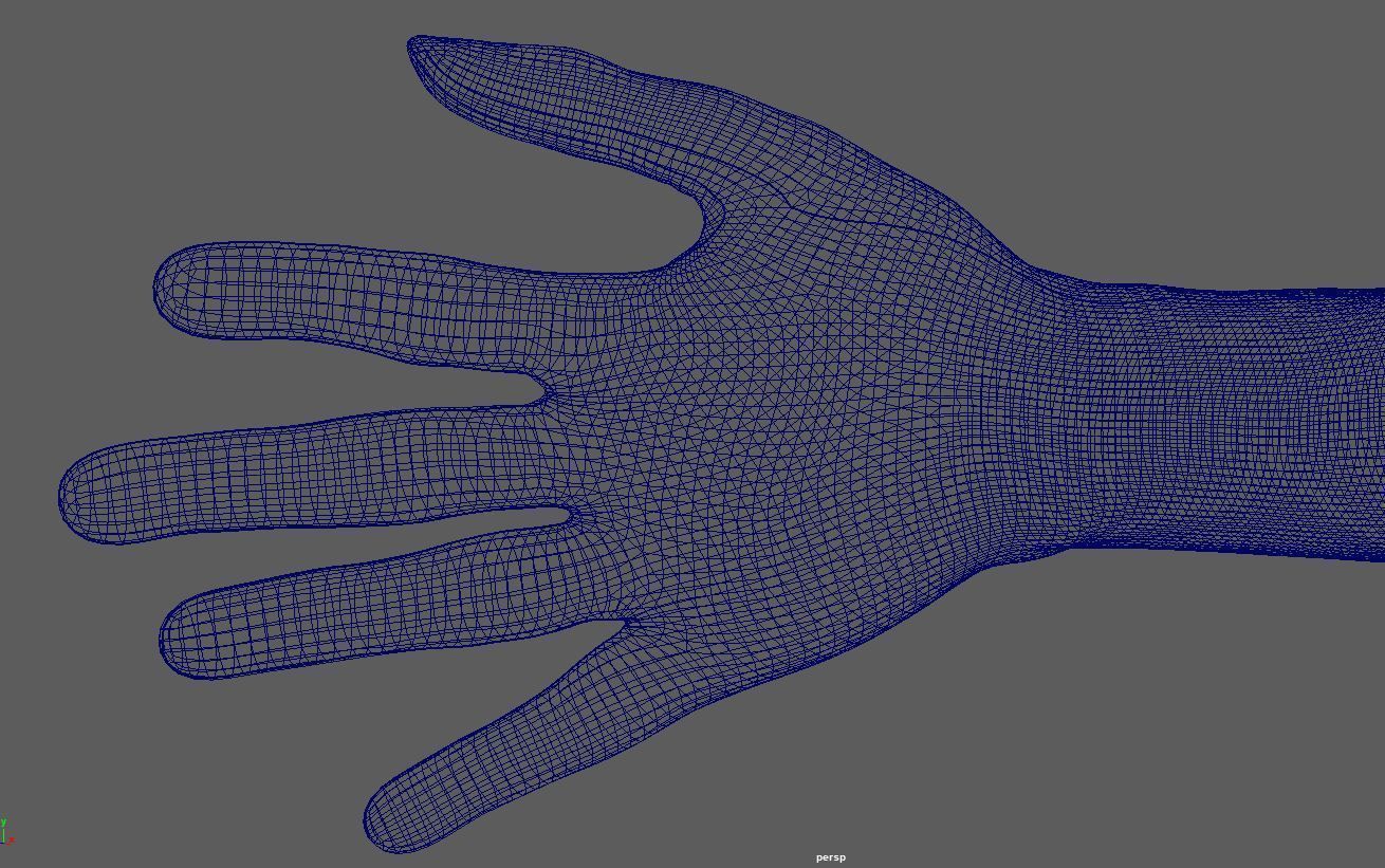 high resolution hand ready for close shoots 3D model | CGTrader