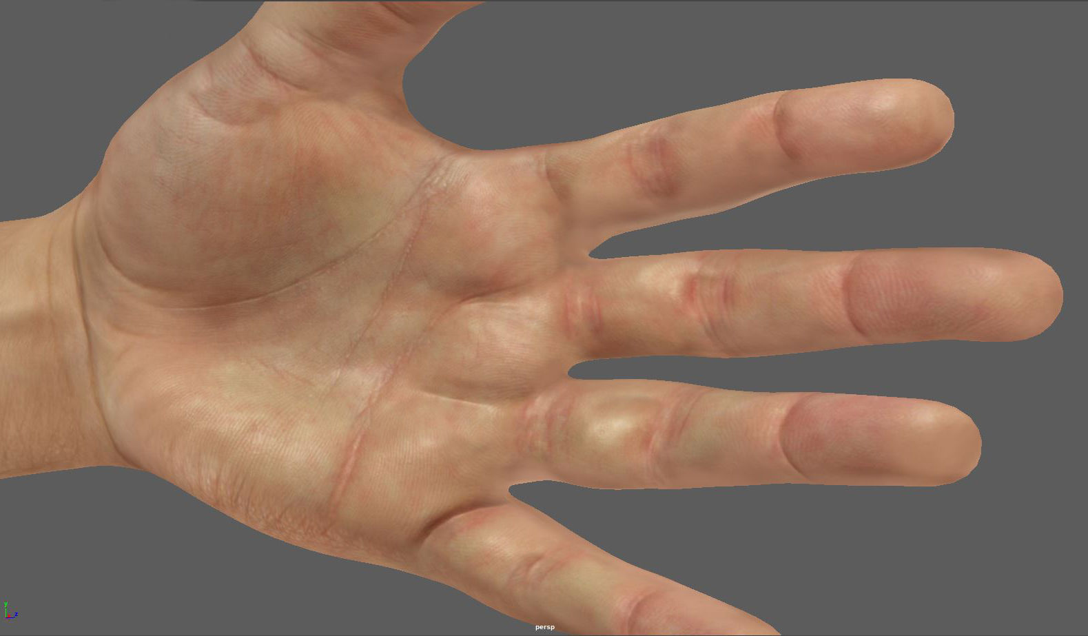 high resolution hand ready for close shoots 3D model | CGTrader