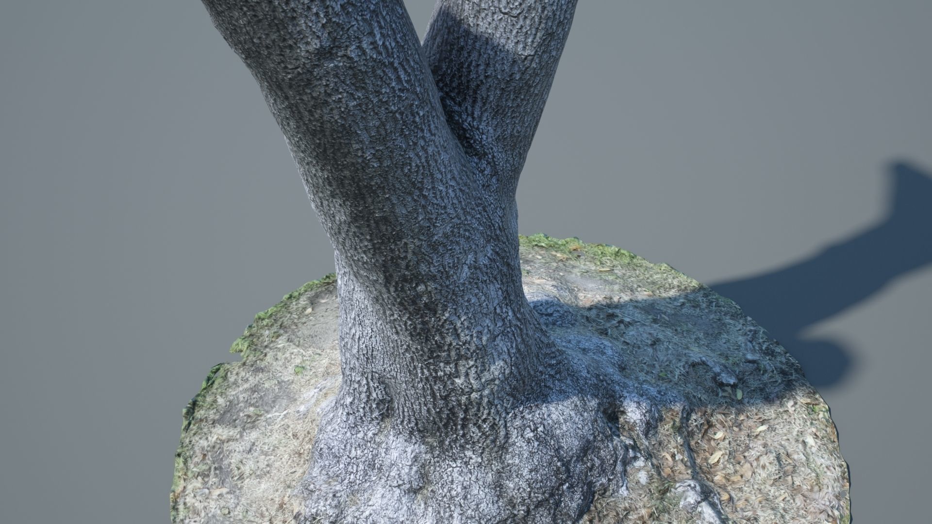 Tree Trunk - 09 3D model | CGTrader