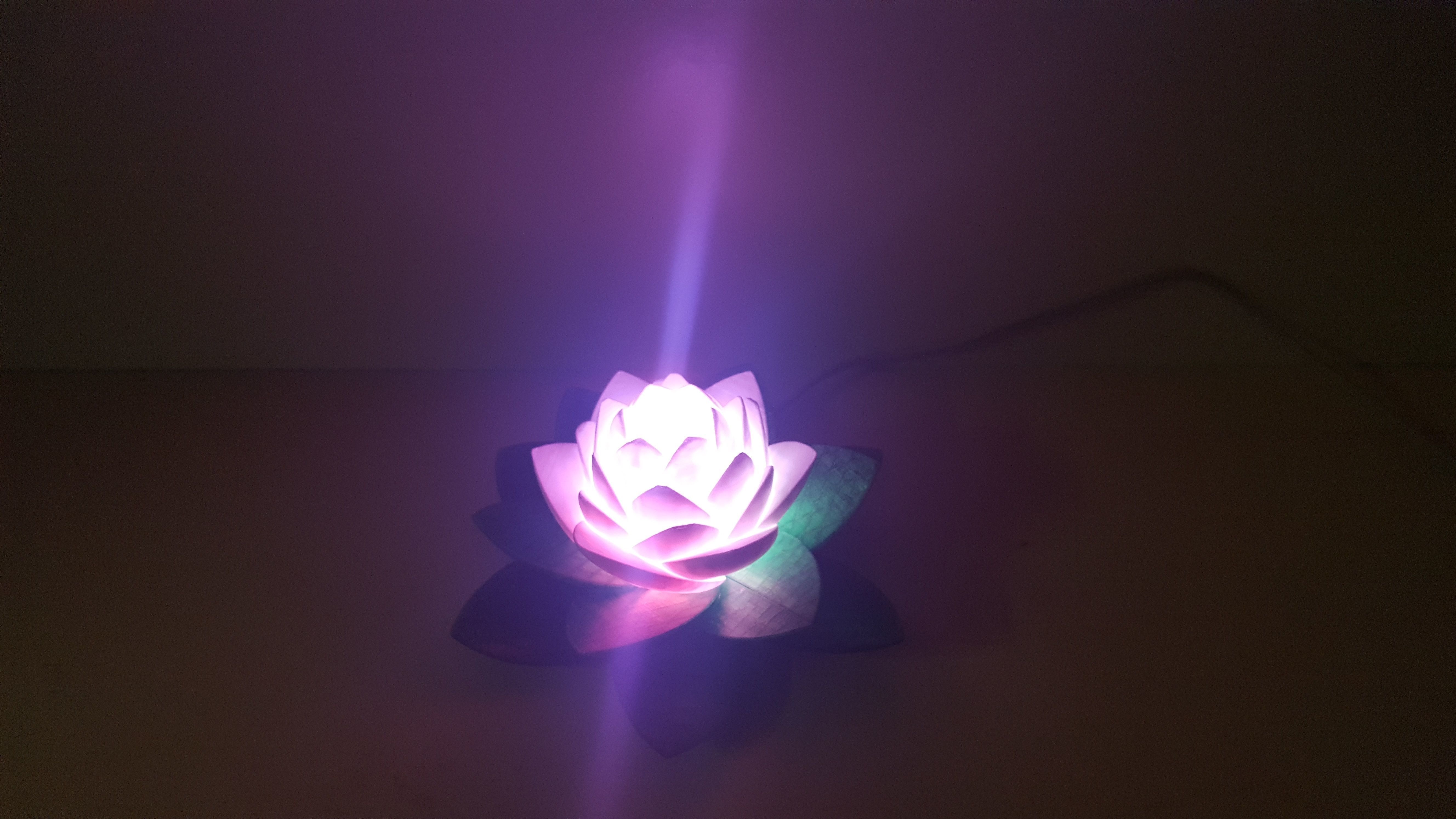 Lotus Lamp free 3D model 3D printable | CGTrader