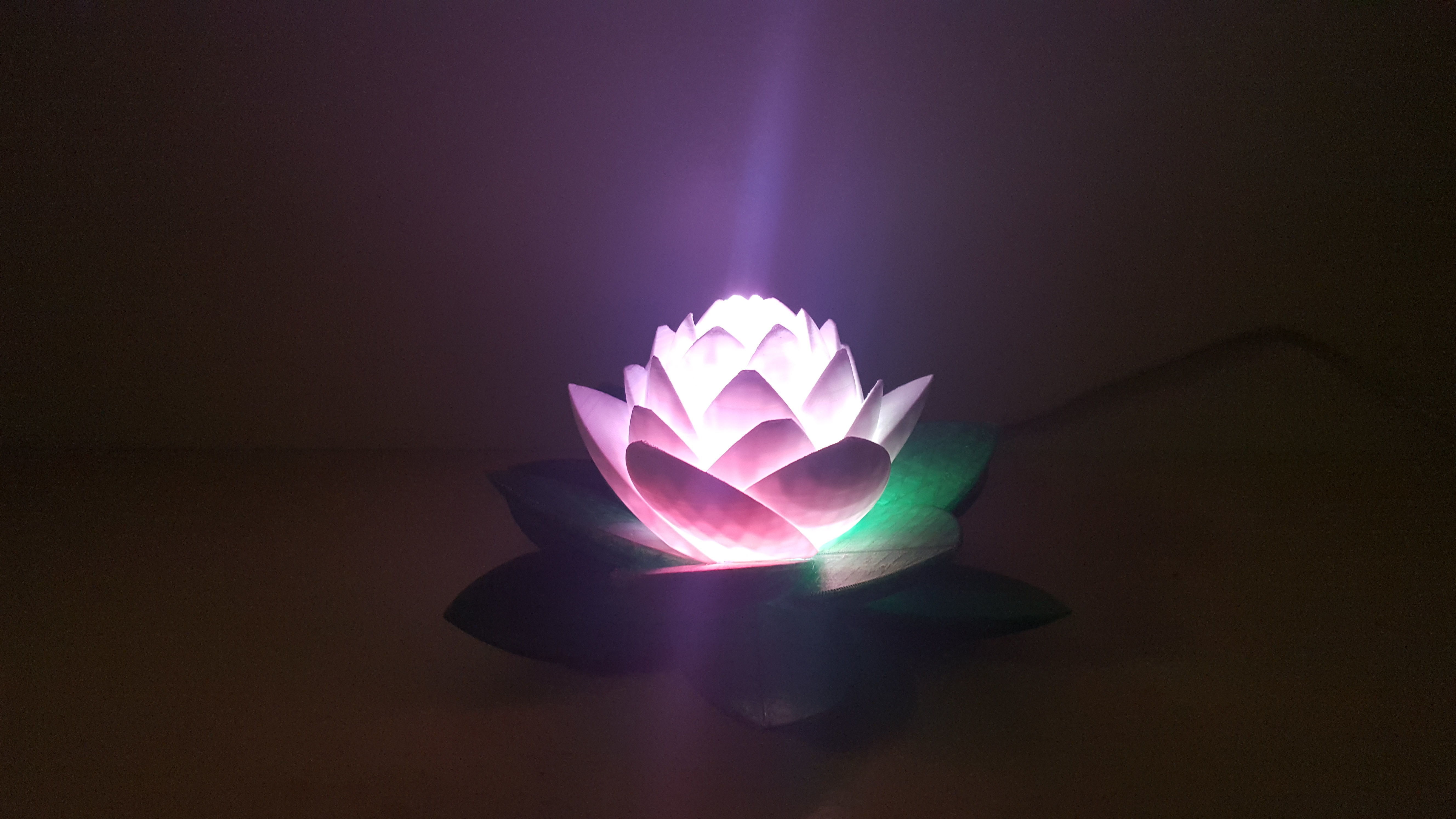 Lotus Lamp free 3D model 3D printable | CGTrader