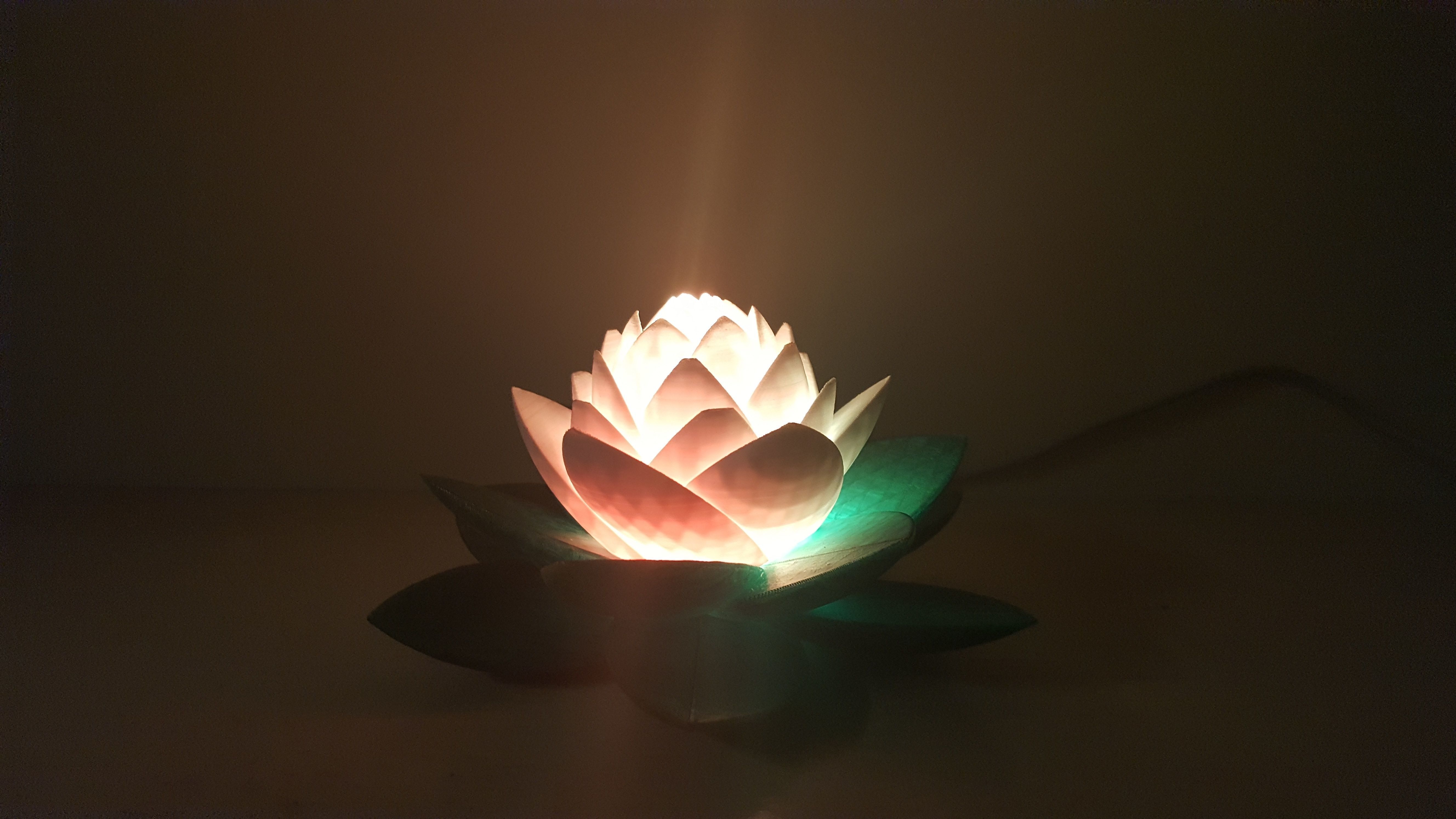 Lotus Lamp free 3D model 3D printable | CGTrader