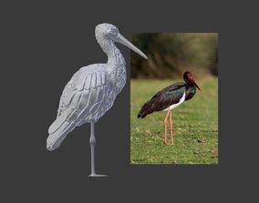 Stork 3D Models | CGTrader