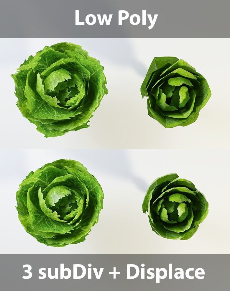 3D model 2 Lettuce - Low Poly two cabbages VR / AR / low-poly | CGTrader