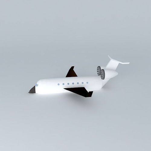 Private jet free 3D Model .max .obj .3ds .fbx .stl .skp - CGTrader.com