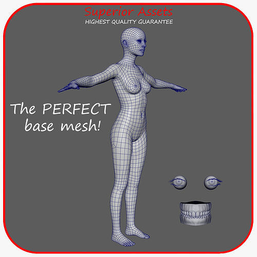 3D model Realistic Woman - Female Perfect Base Mesh - QUADS ONLY VR ...