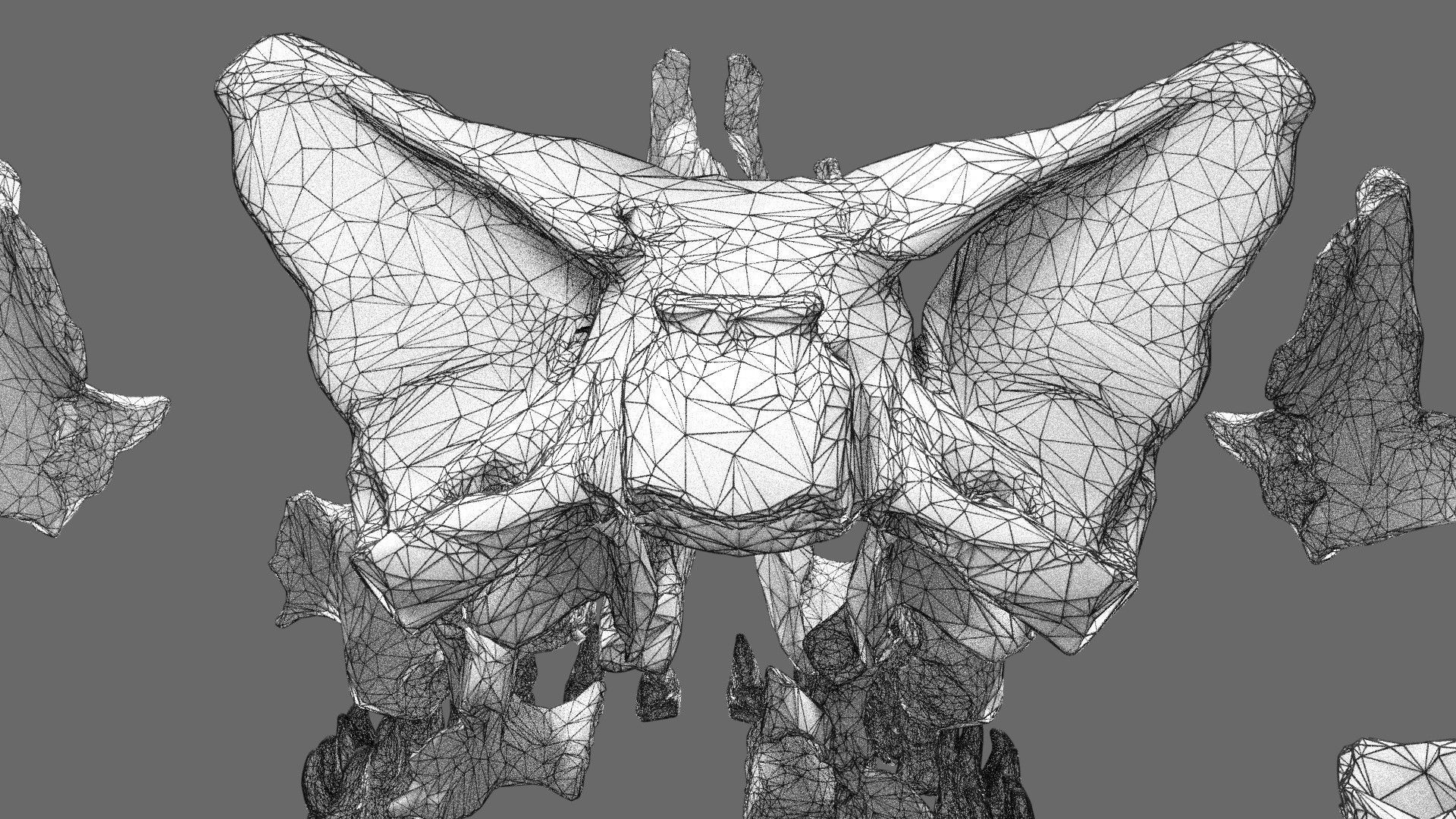 skull labelled anatomy text ldetailed 3D model 3D printable | CGTrader