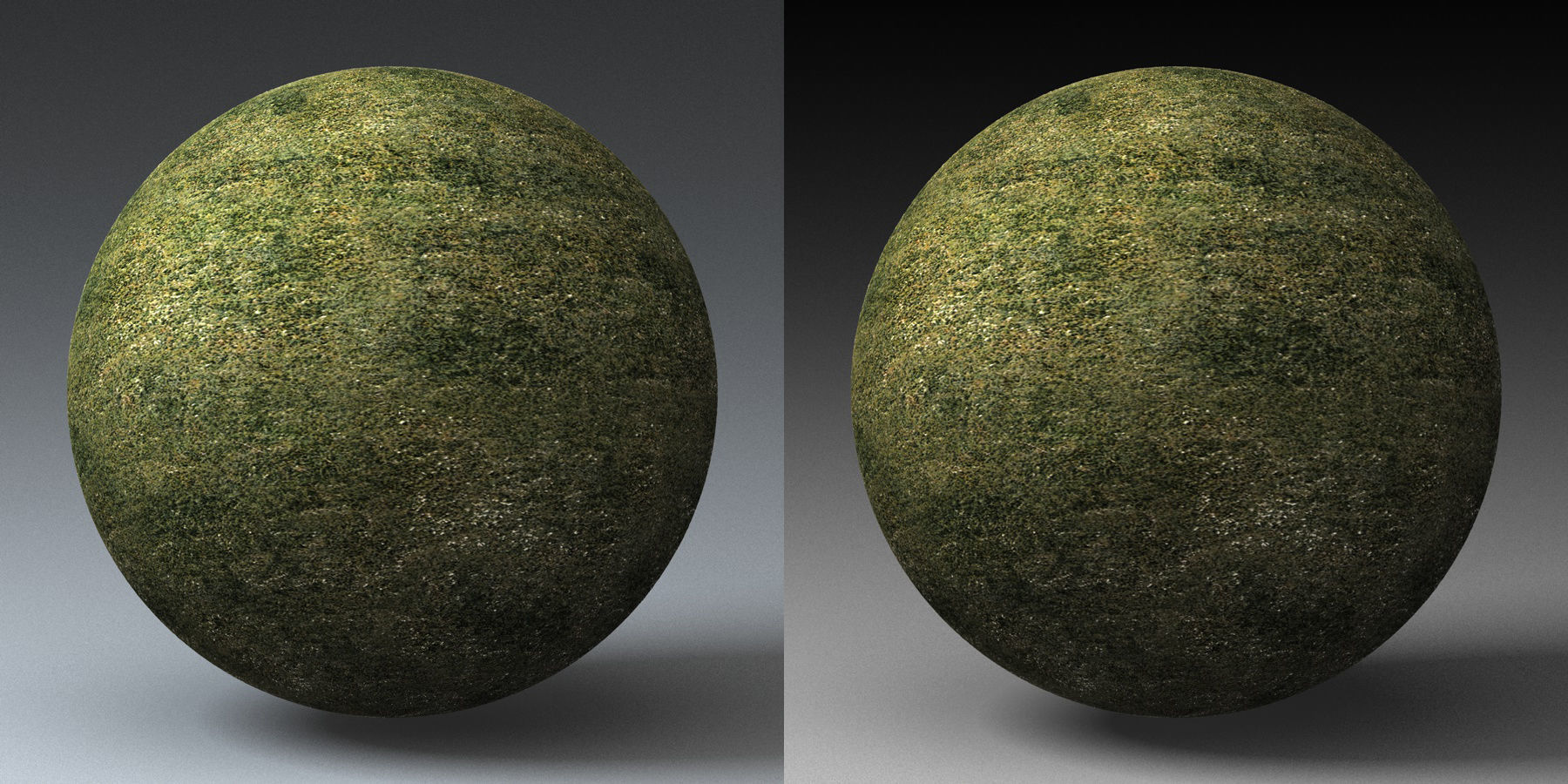 Grass Landscape Shader 047 Texture | CGTrader
