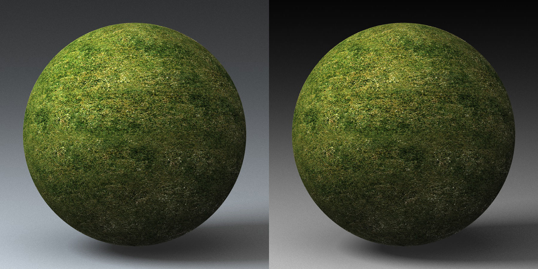 Grass Landscape Shader 049 Texture | CGTrader