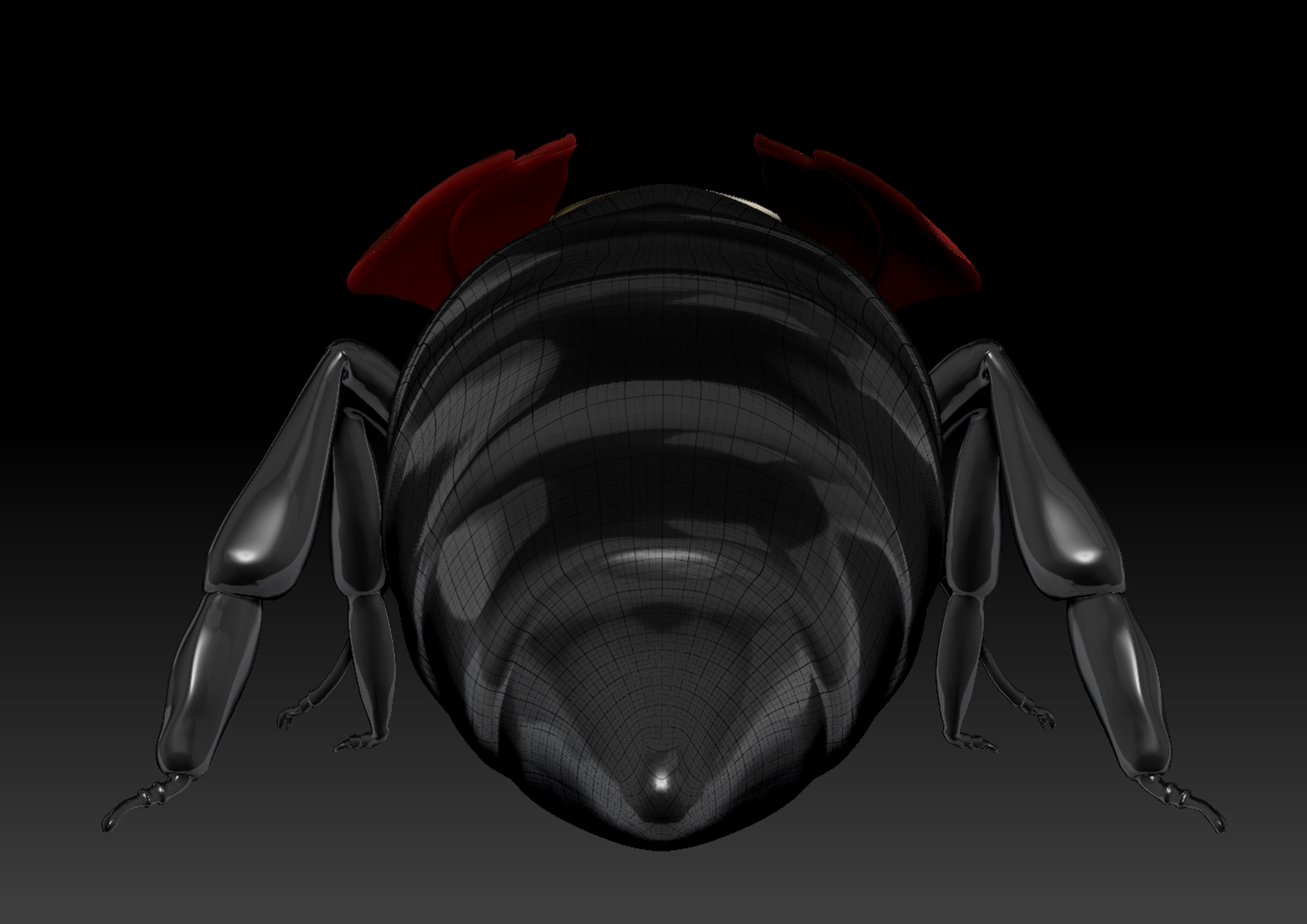 queen bee 3D model | CGTrader