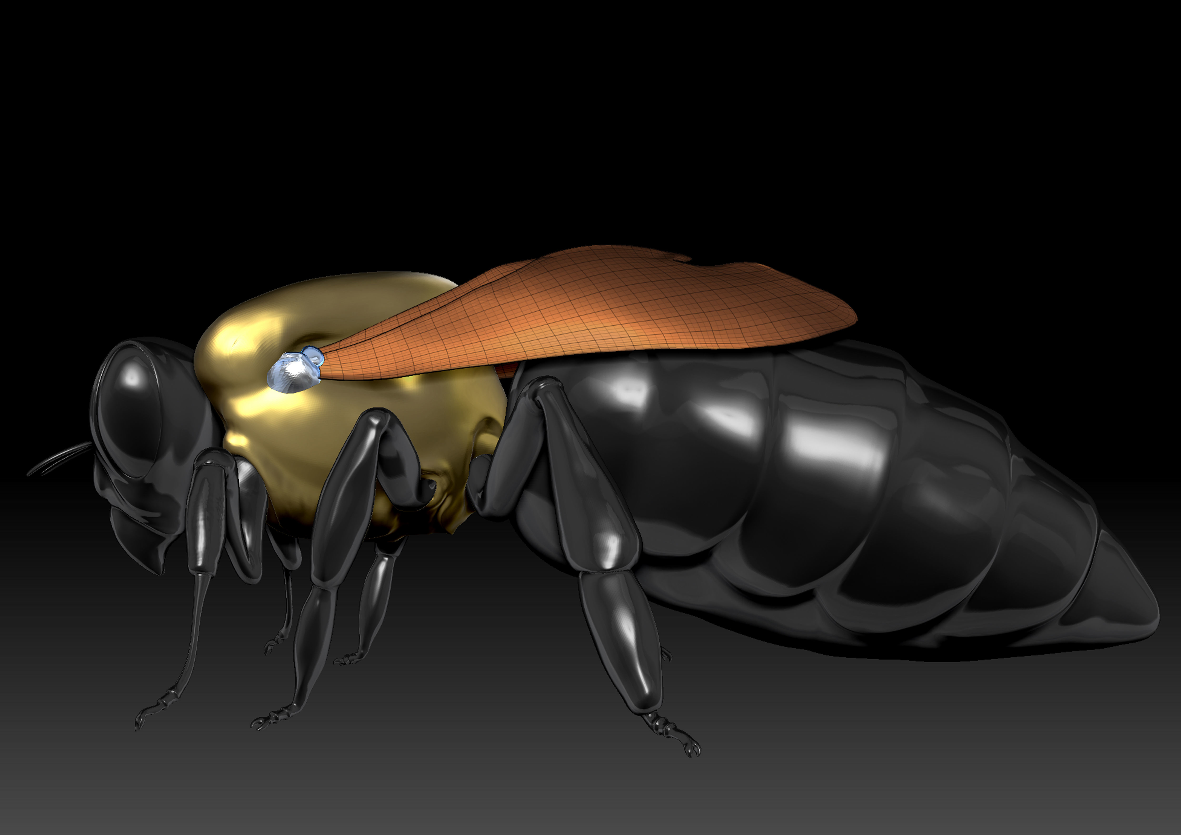 queen bee 3D model | CGTrader
