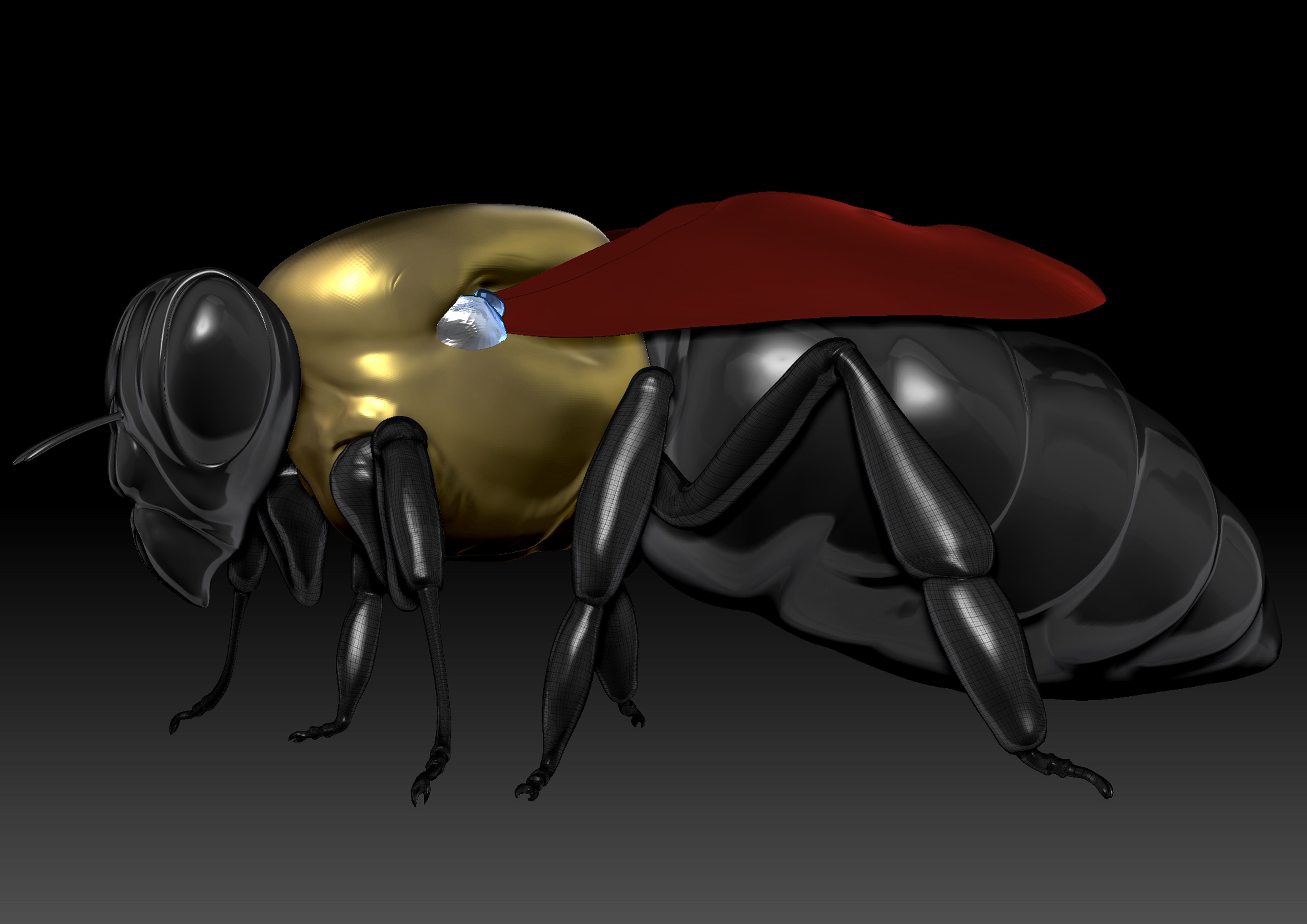 queen bee 3D model | CGTrader