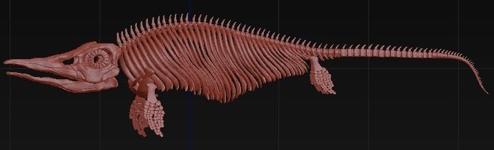 Ichthyosaurus crocodile skeleton 3D model 3D printable | CGTrader