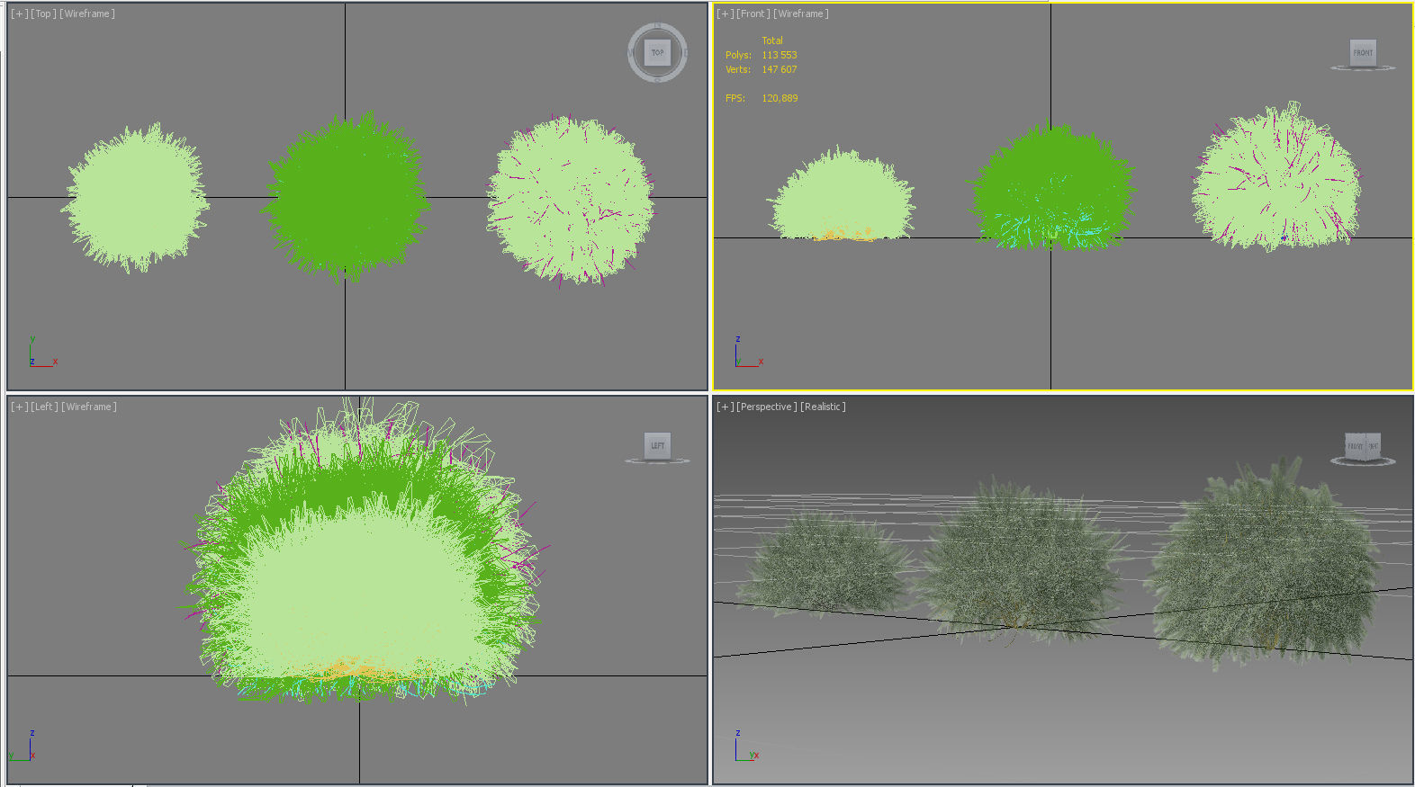 3D model Bush Willow Salix rosmarinifolia VR / AR / low-poly | CGTrader