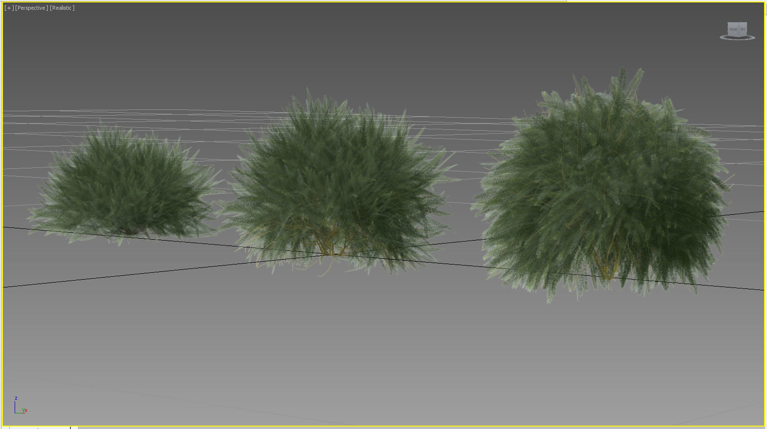 3D model Bush Willow Salix rosmarinifolia VR / AR / low-poly | CGTrader