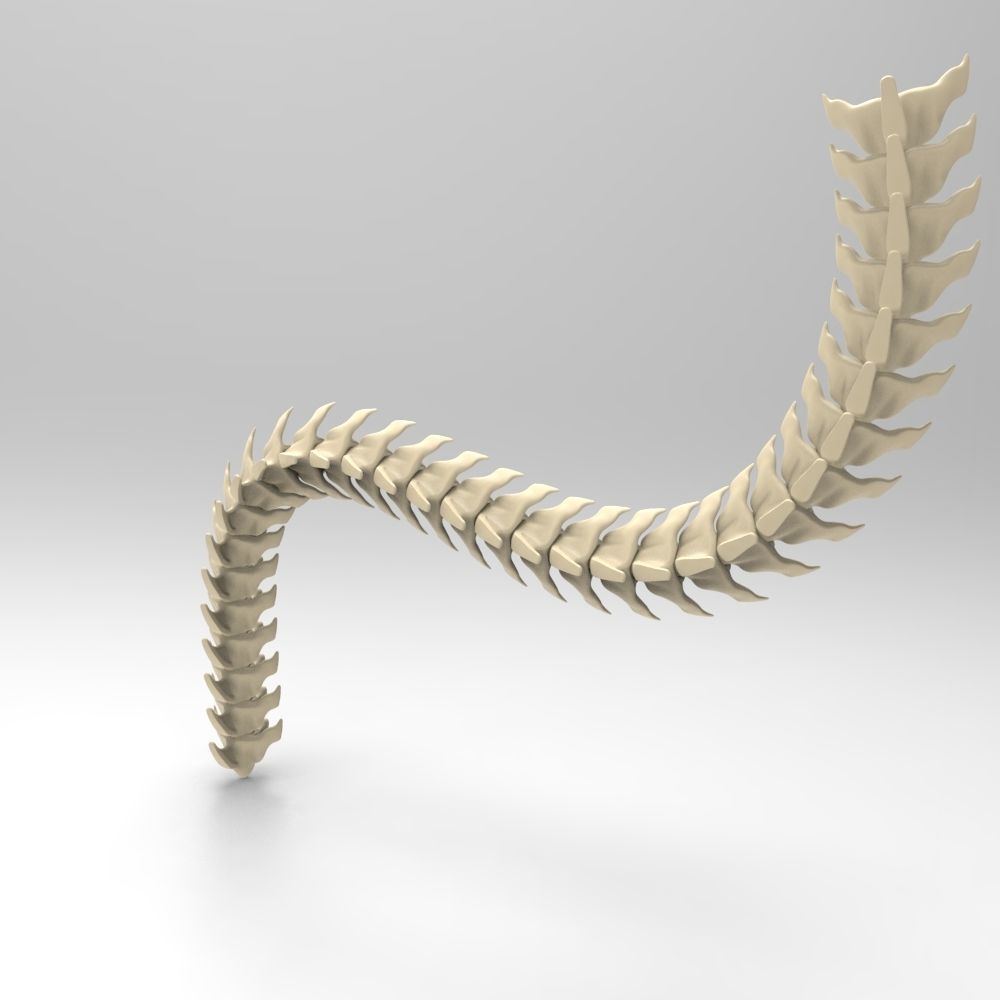 predator whip wolf 3D model 3D printable | CGTrader