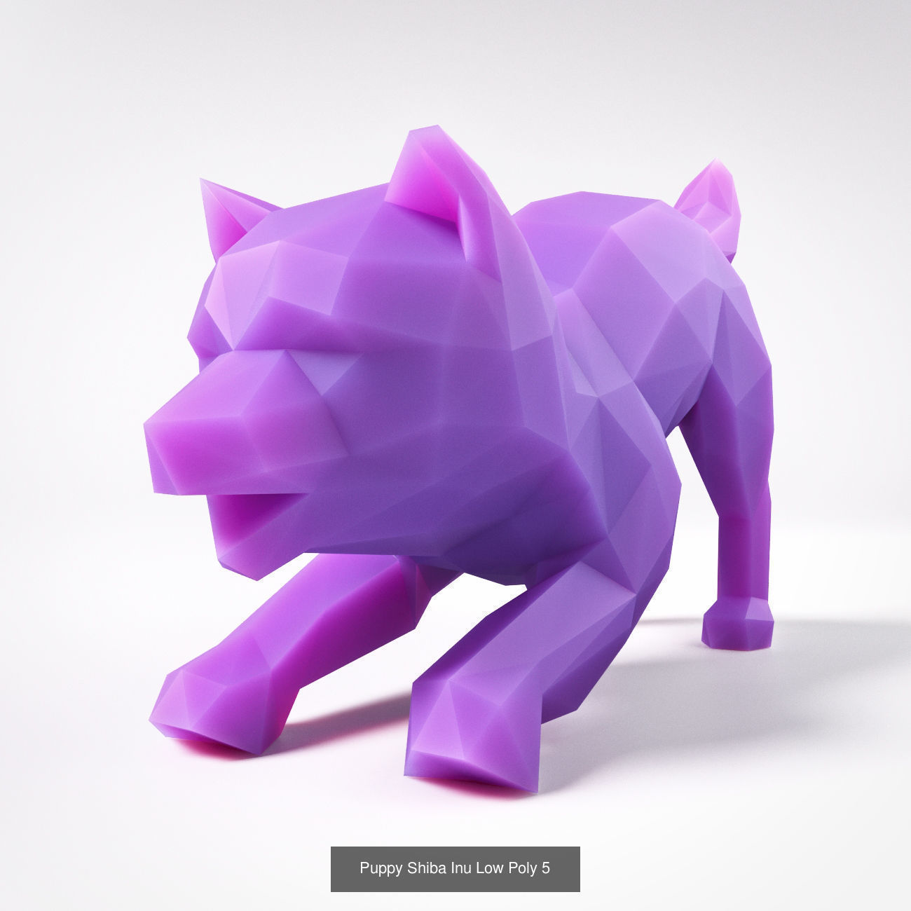 Puppy Shiba Inu Low Poly Pack 3D Model Collection | CGTrader