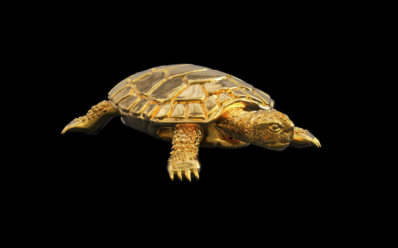 TURTLE TORTOISE 3D model 3D printable | CGTrader