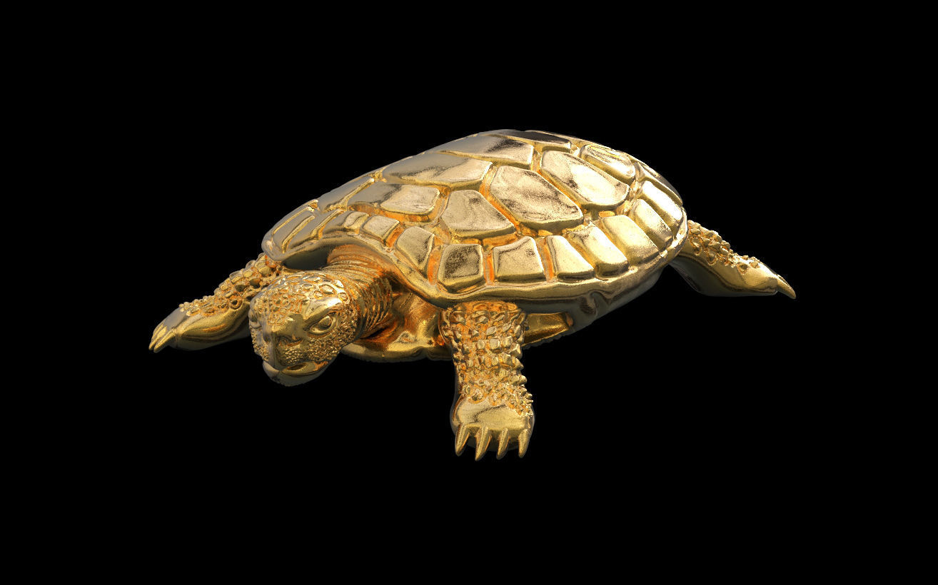 TURTLE TORTOISE 3D model 3D printable | CGTrader