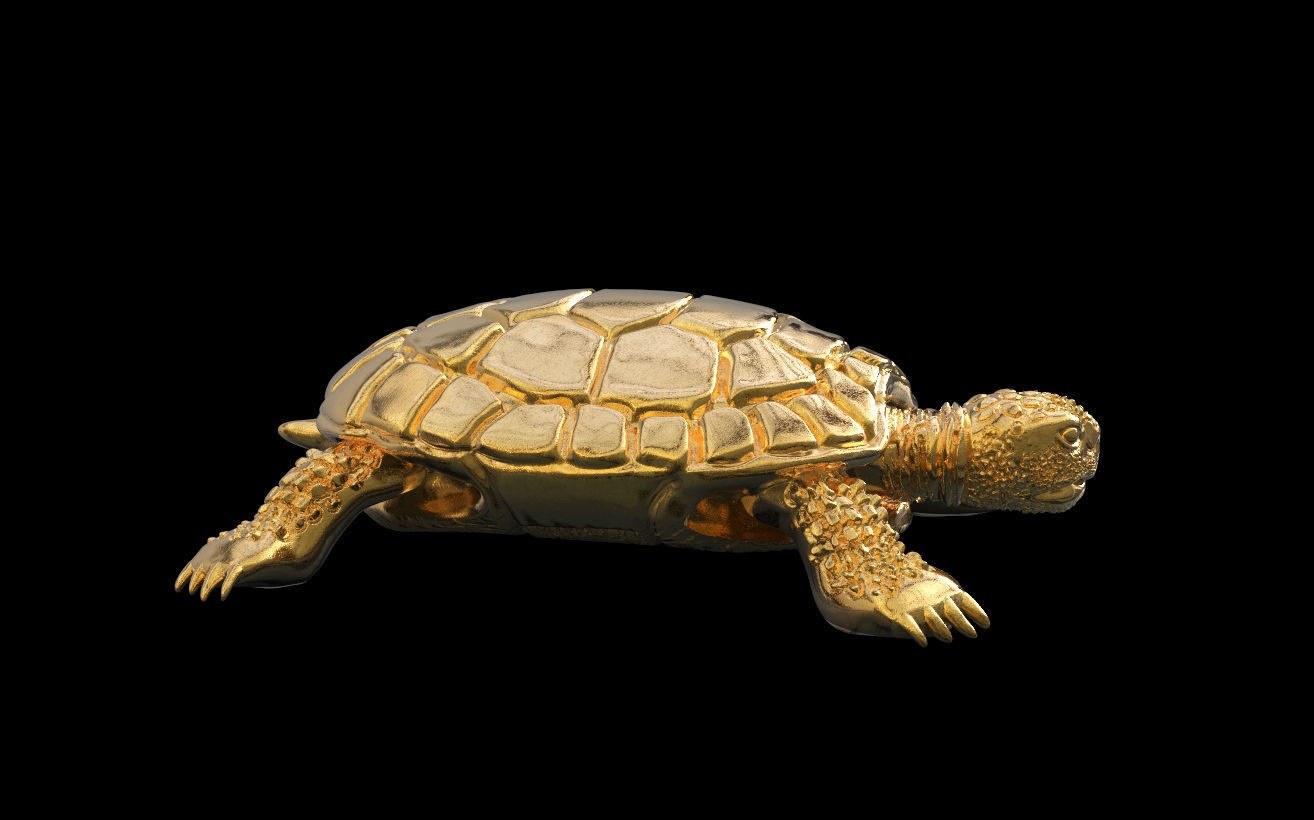 TURTLE TORTOISE 3D model 3D printable | CGTrader