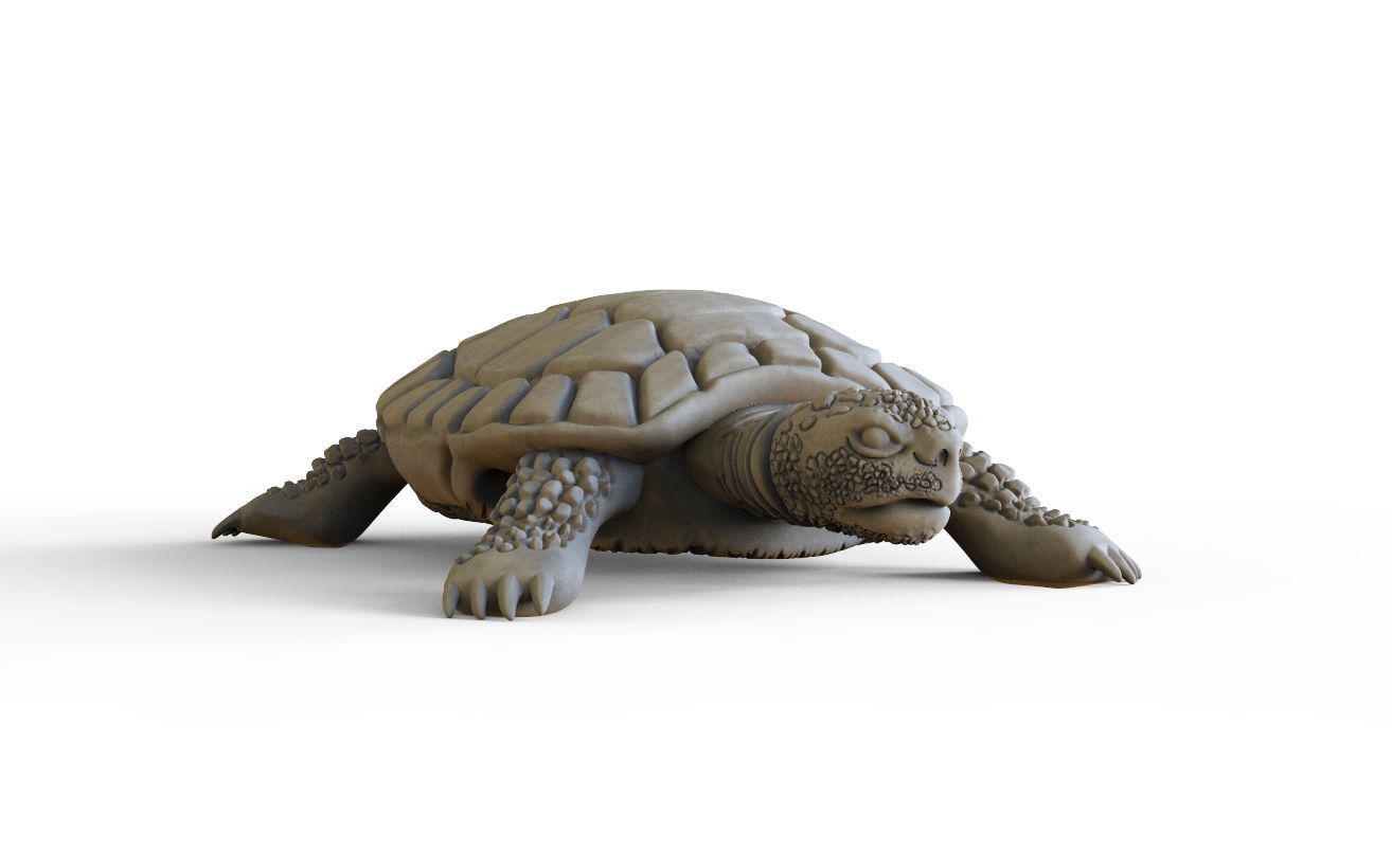 TURTLE TORTOISE 3D model 3D printable | CGTrader