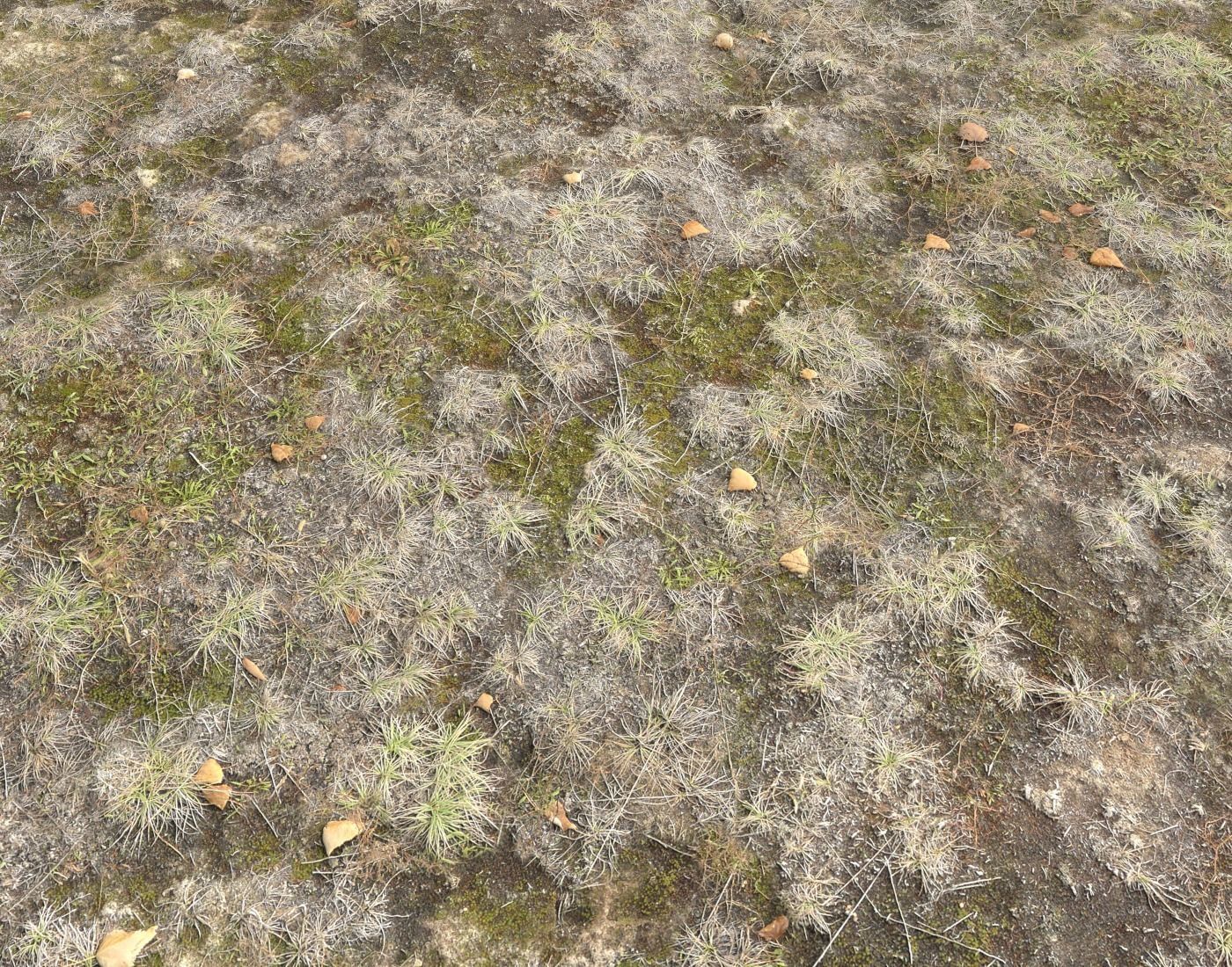 Ground terrain PBR pack 1 Texture | CGTrader