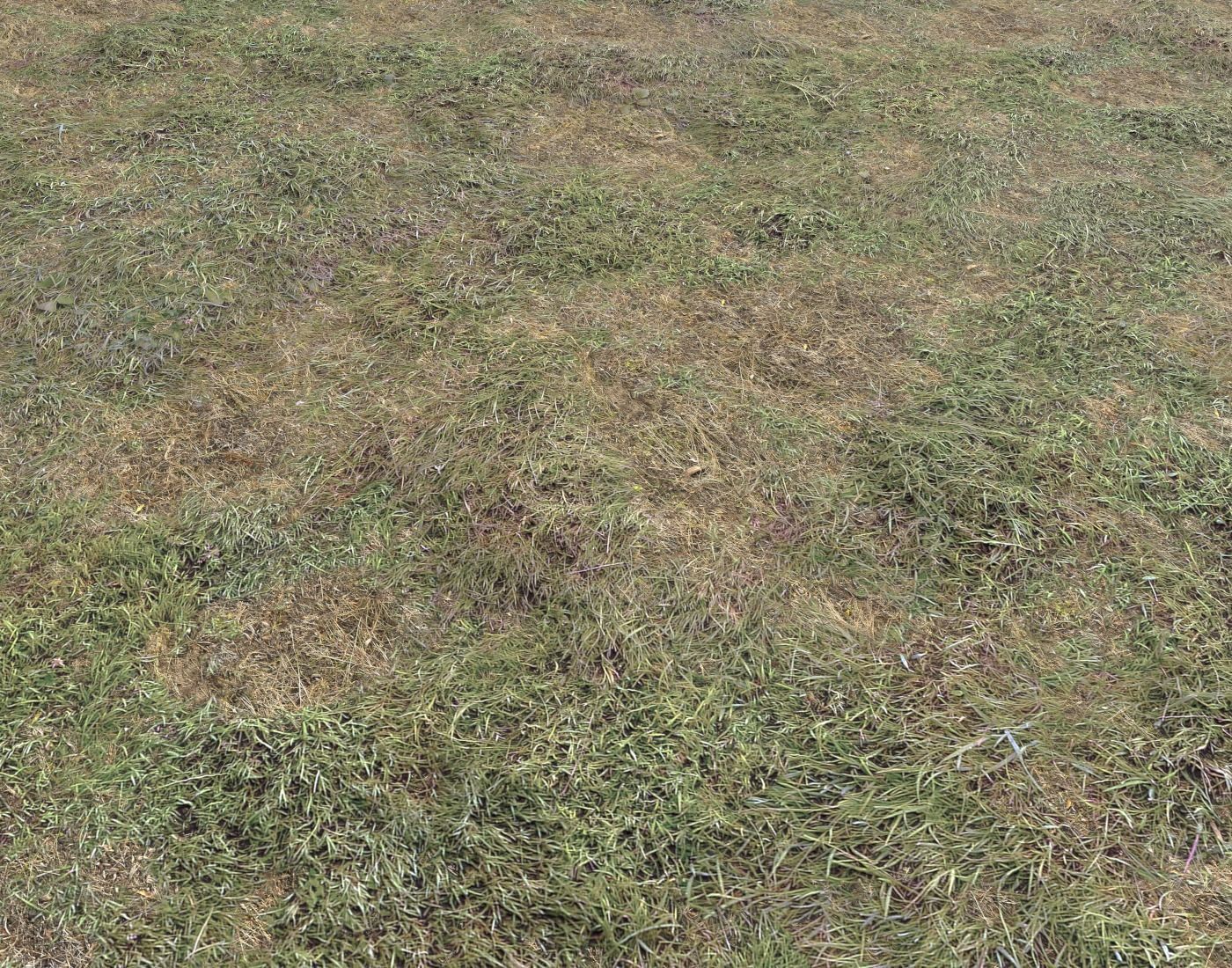 Ground terrain grass PBR pack 5 Texture | CGTrader