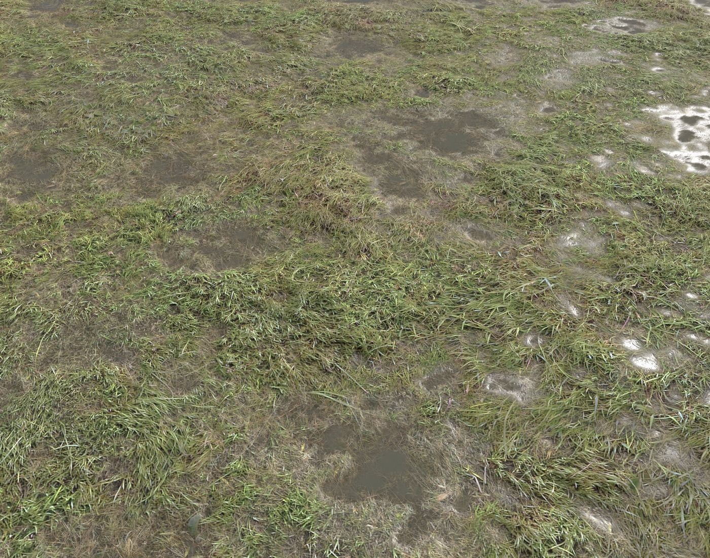 Ground terrain grass PBR pack 5 Texture | CGTrader