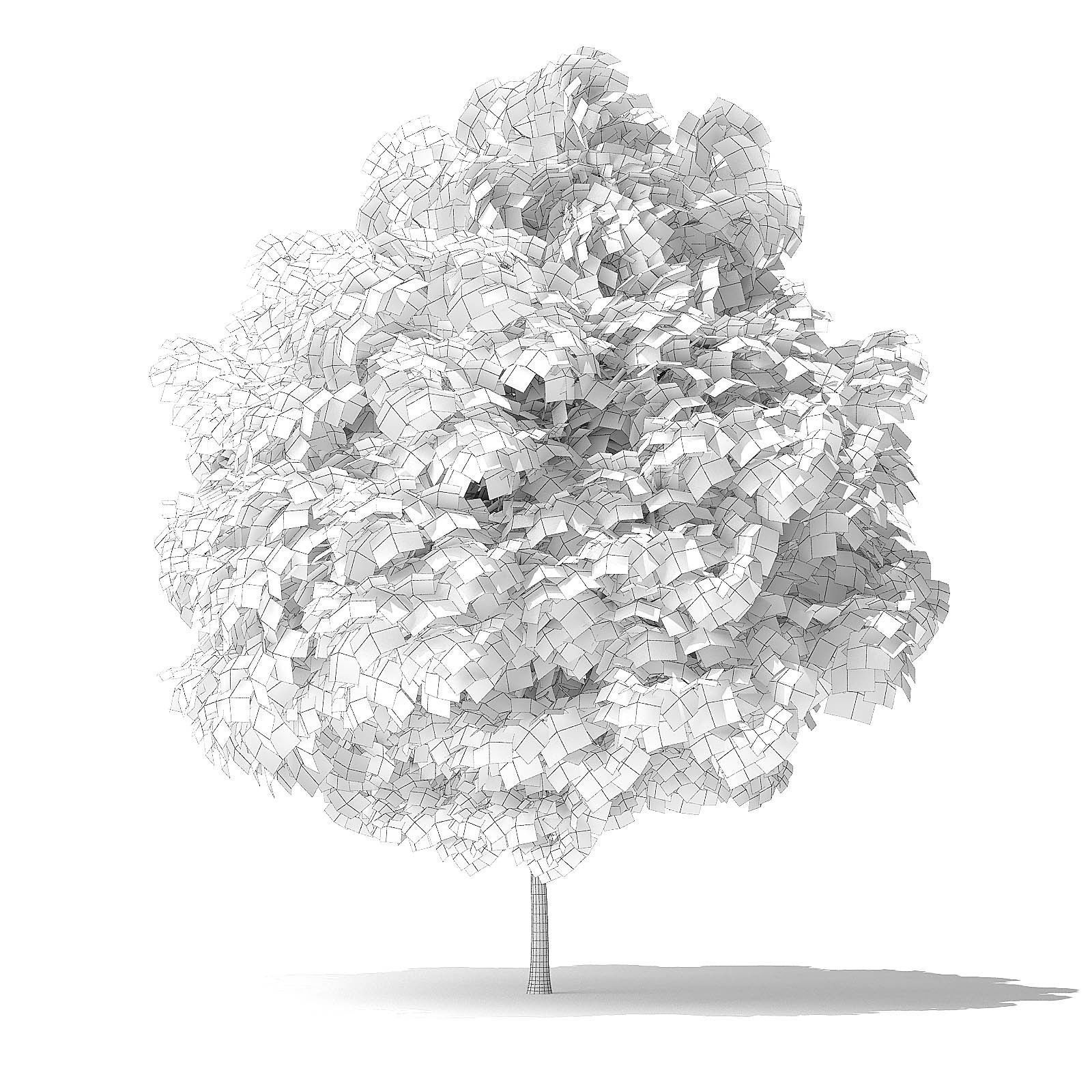 Green Ash Tree 3D Model 3m 3D model | CGTrader