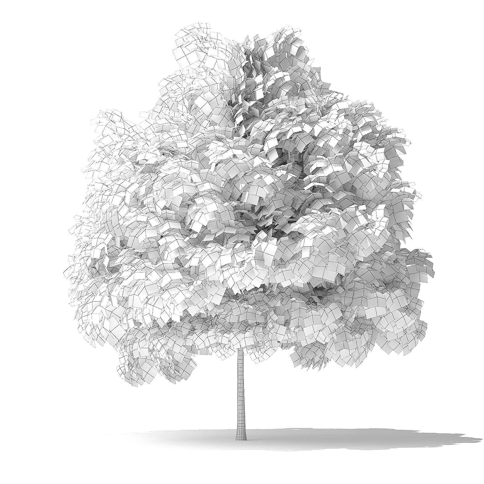 Green Ash Tree 3D Model 3m 3D model | CGTrader