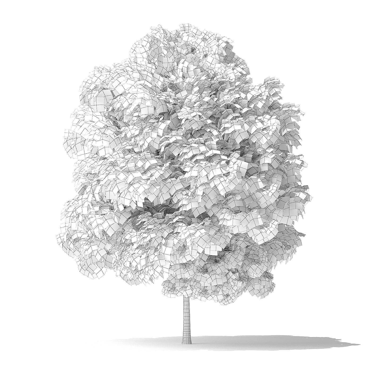 Green Ash Tree 3D Model 4m 3D model | CGTrader
