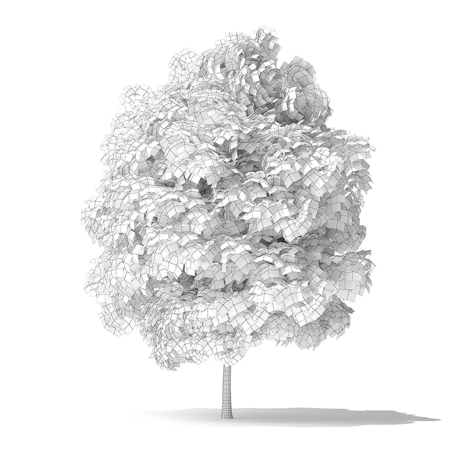 Green Ash Tree 3D Model 4m 3D model | CGTrader