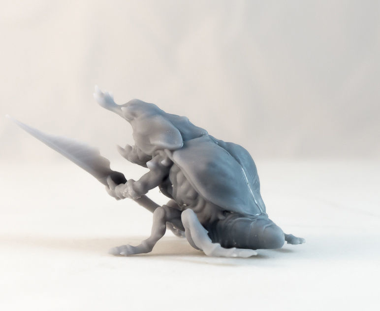 Beetle Guard- 3D printable Character - 2 Poses 3D model 3D printable ...