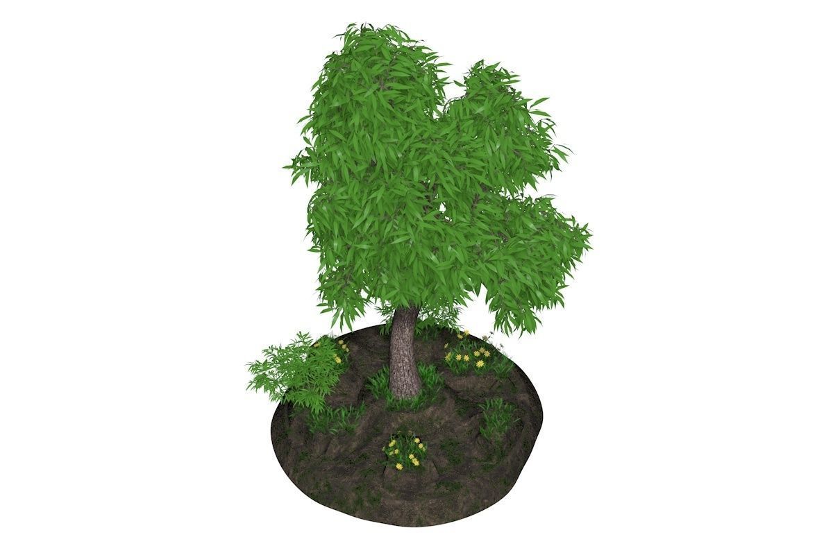 Tree scene 3D model | CGTrader