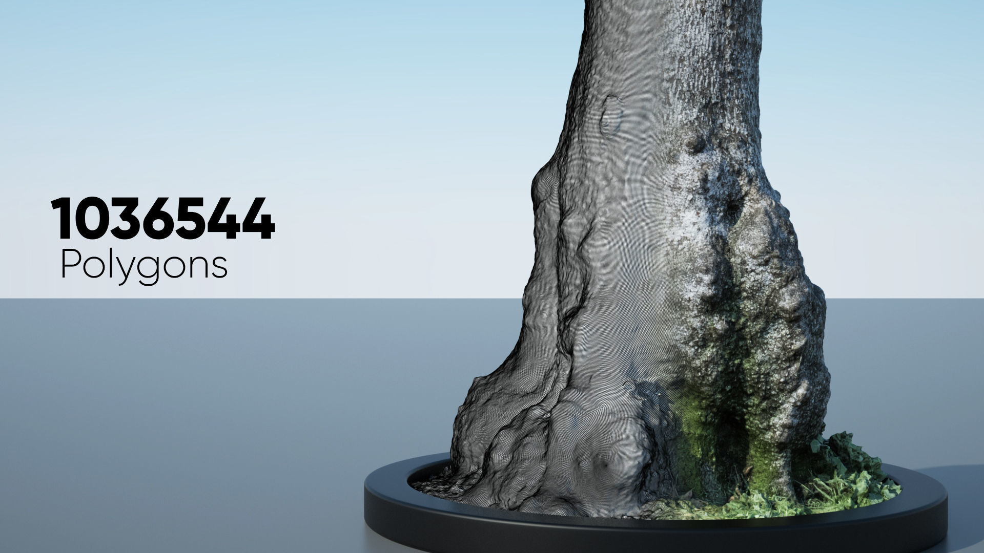 Tree Trunk - 11 3D model | CGTrader