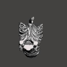 human backbone or spine 3D model 3D printable | CGTrader