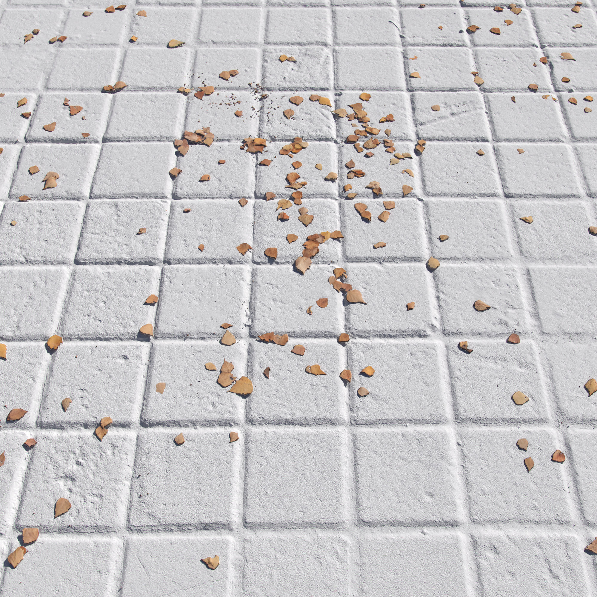 Autumn leaves Decal scan 3D model | CGTrader