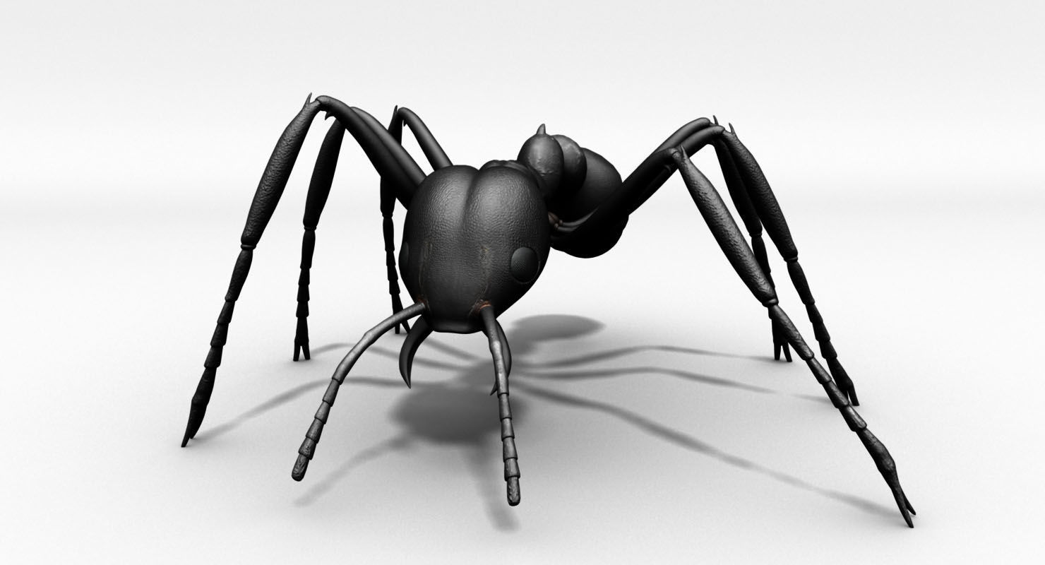 ant 3d rig model 3D model | CGTrader