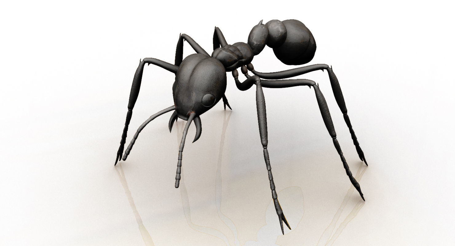 ant 3d rig model 3D model | CGTrader