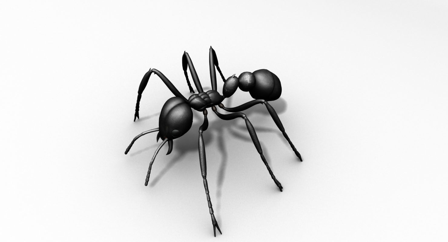 ant 3d rig model 3D model | CGTrader