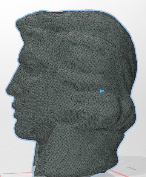 ELVIS PRESLEY BUST 3D model 3D printable | CGTrader