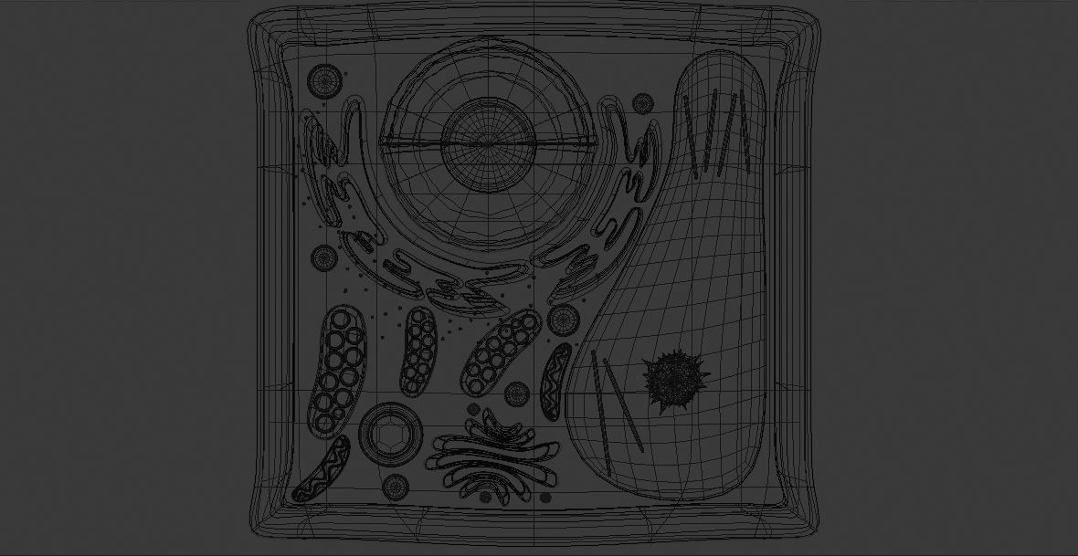 3D model PLANT CELL VR / AR / low-poly | CGTrader